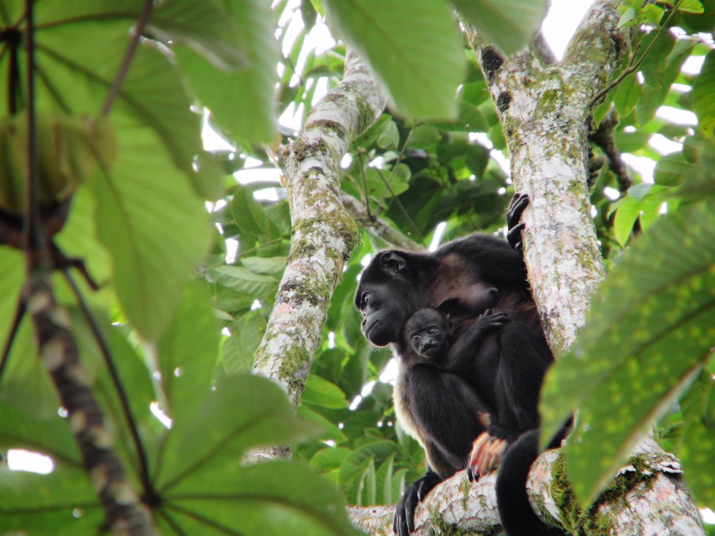 She's a beauty - TRAVELBOOK.NL